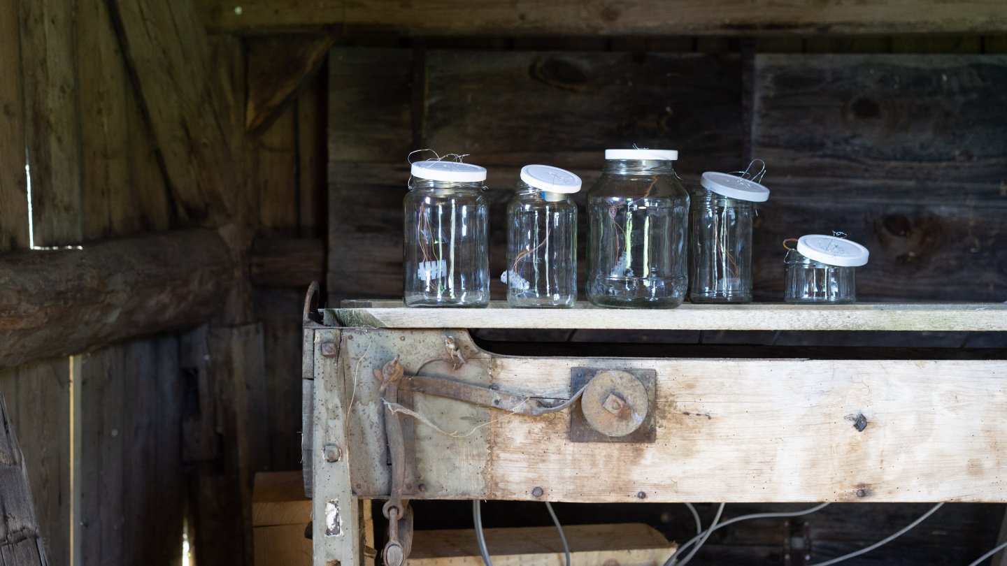 How Does Silence Sound? | norient.com