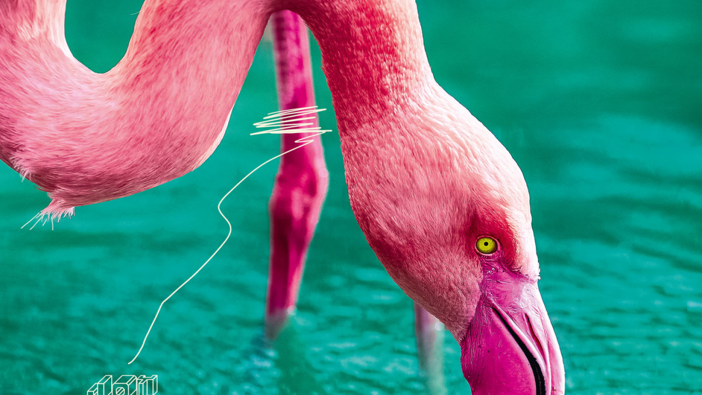 Joy Anger Doubt | norient.com